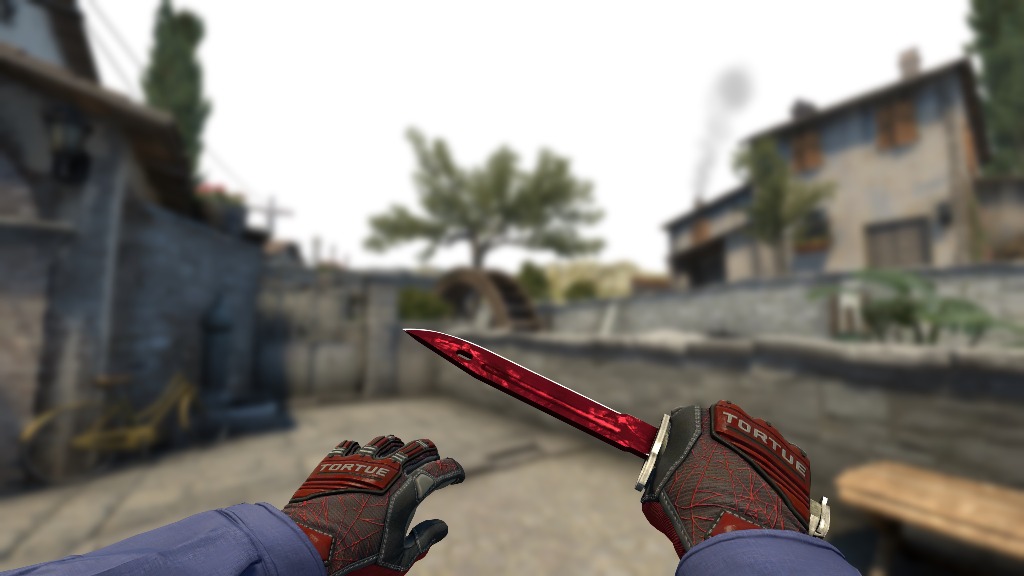 [CSGO] ★ Bayonet | Doppler Ruby (Factory New), Video Gaming, Gaming ...