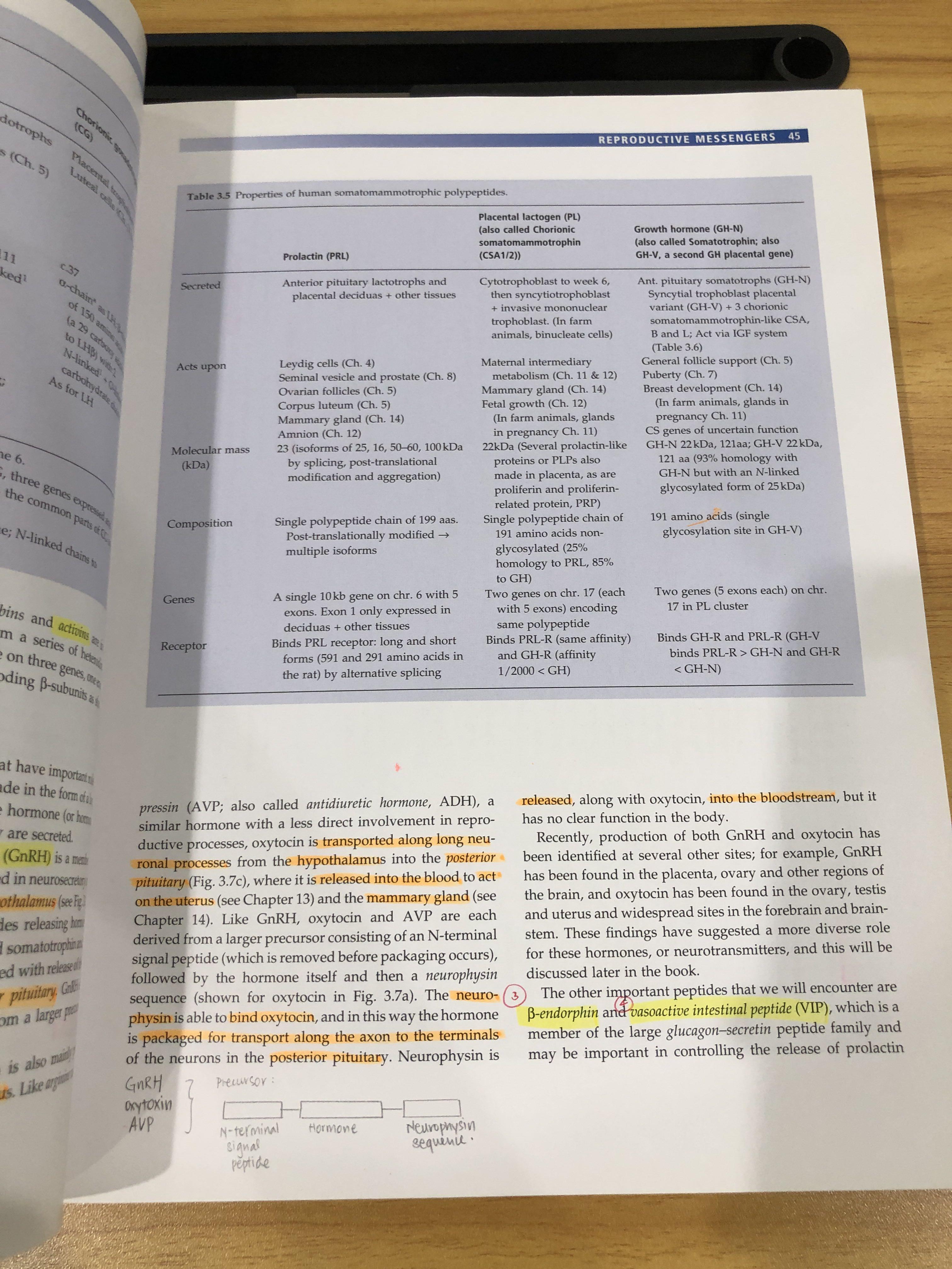 Essential: Reproduction (6th Edition), Hobbies & Toys, Books ...