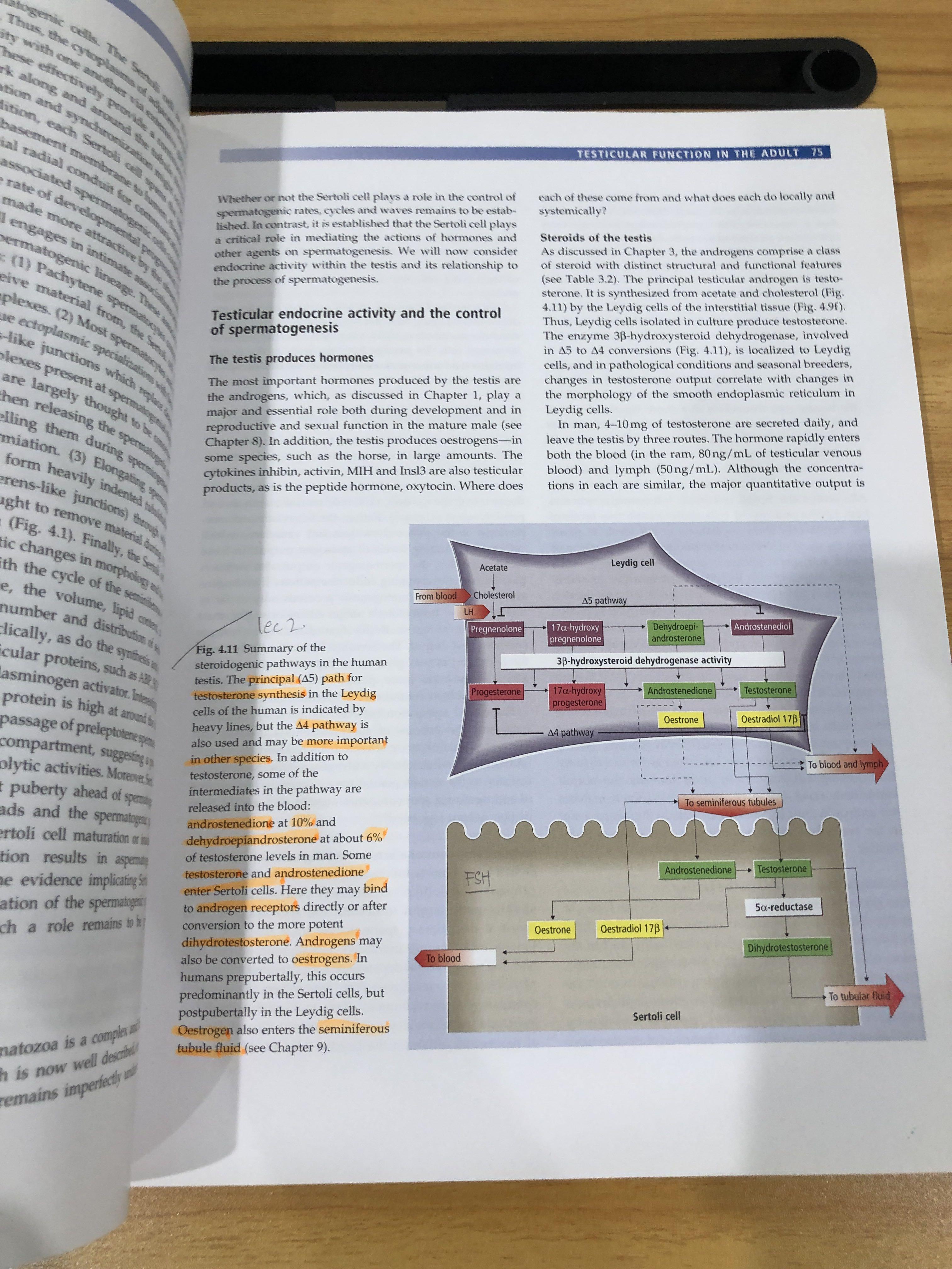Essential: Reproduction (6th Edition), Hobbies & Toys, Books ...