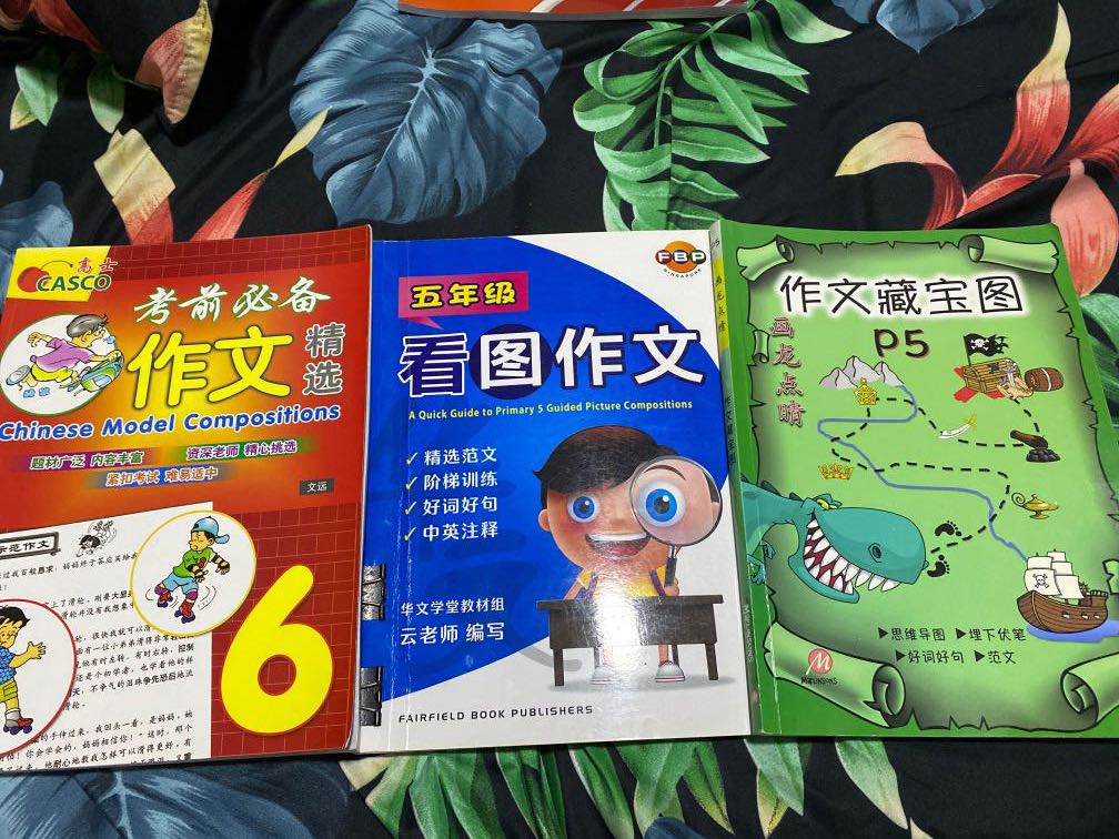 Primary 6 PSLE Chinese compo, Hobbies & Toys, Books & Magazines ...