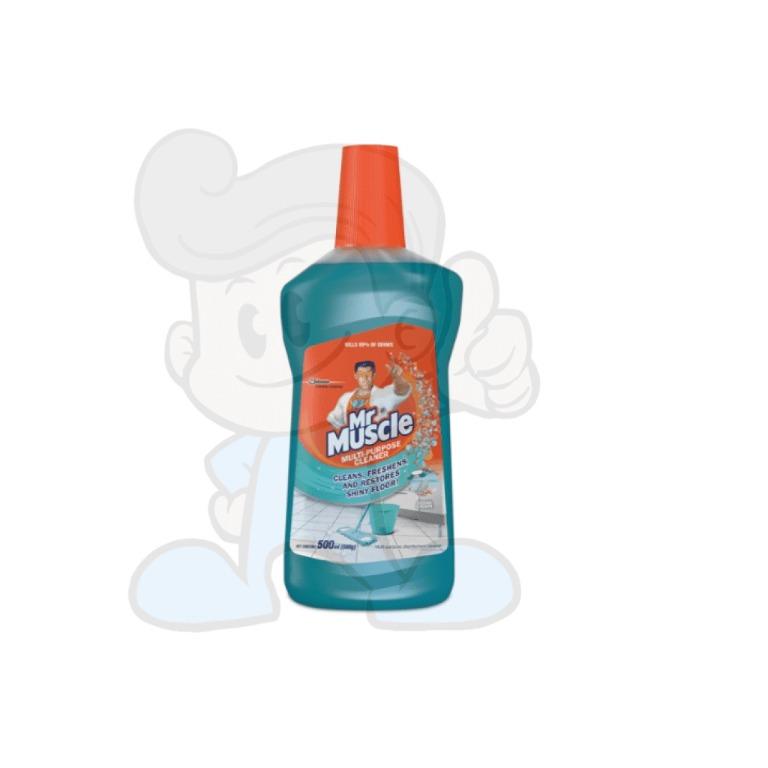 SCJ Mr Muscle All Purpose Cleaner Ocean Escape (2 x 500 mL), Furniture ...