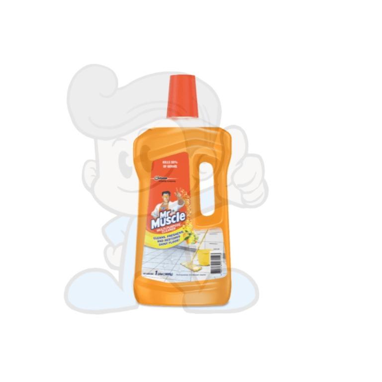 SCJ Mr Muscle All Purpose Cleaner Fresh Lemon (2 x 1L), Furniture ...