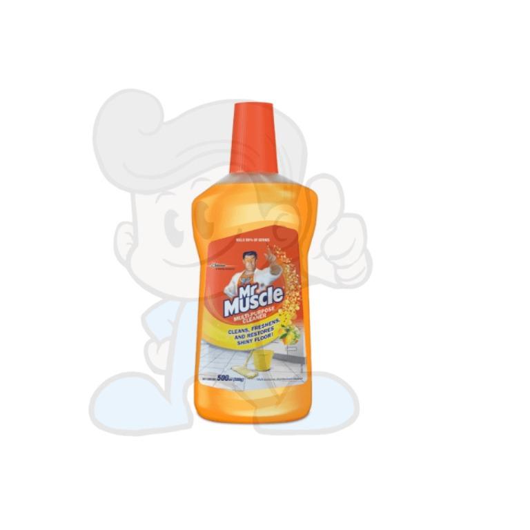 SCJ Mr Muscle All Purpose Cleaner Fresh Lemon (2 x 500 mL), Furniture ...