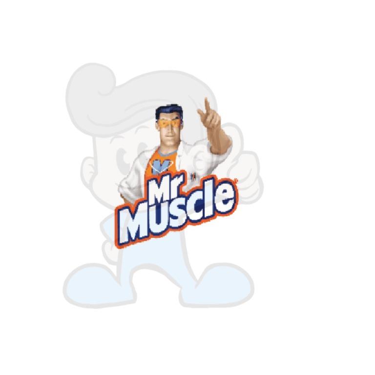 SCJ Mr Muscle All Purpose Cleaner Fresh Lemon (2 x 500 mL), Furniture ...