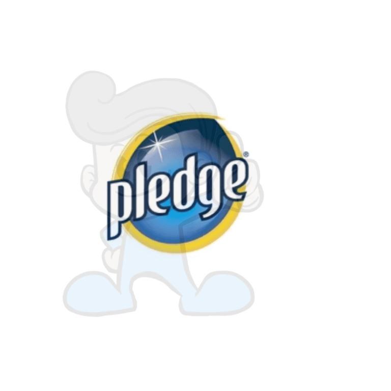 SCJ Pledge Pronto Liquid Wax Natural (2 x 500 mL), Furniture & Home ...