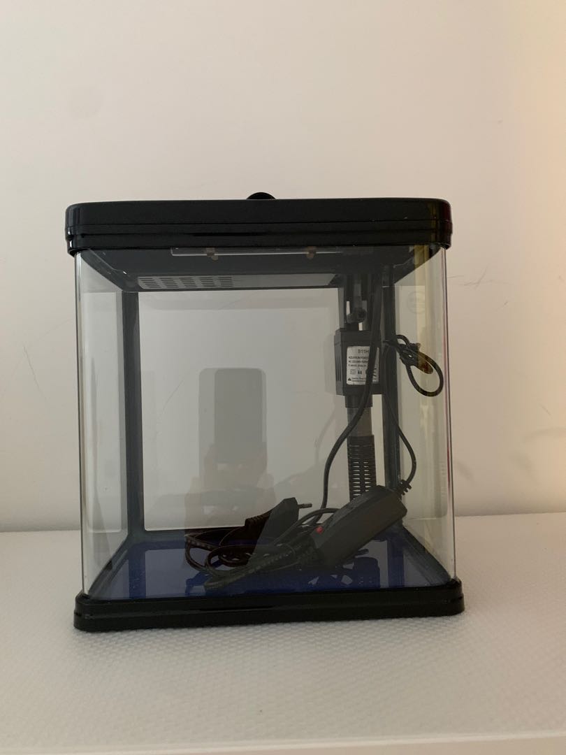 Small fish tank, plug and play, Pet Supplies, Homes & Other Pet ...