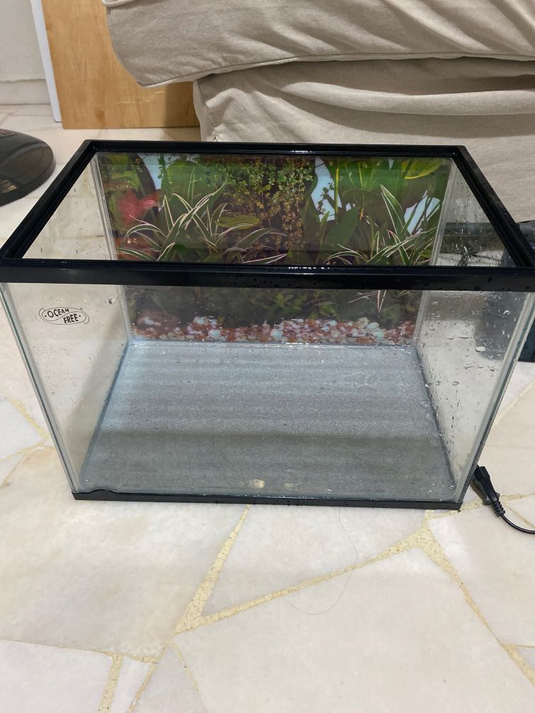 Fish tank 40cm with internal filter and led light, Pet Supplies, Homes ...