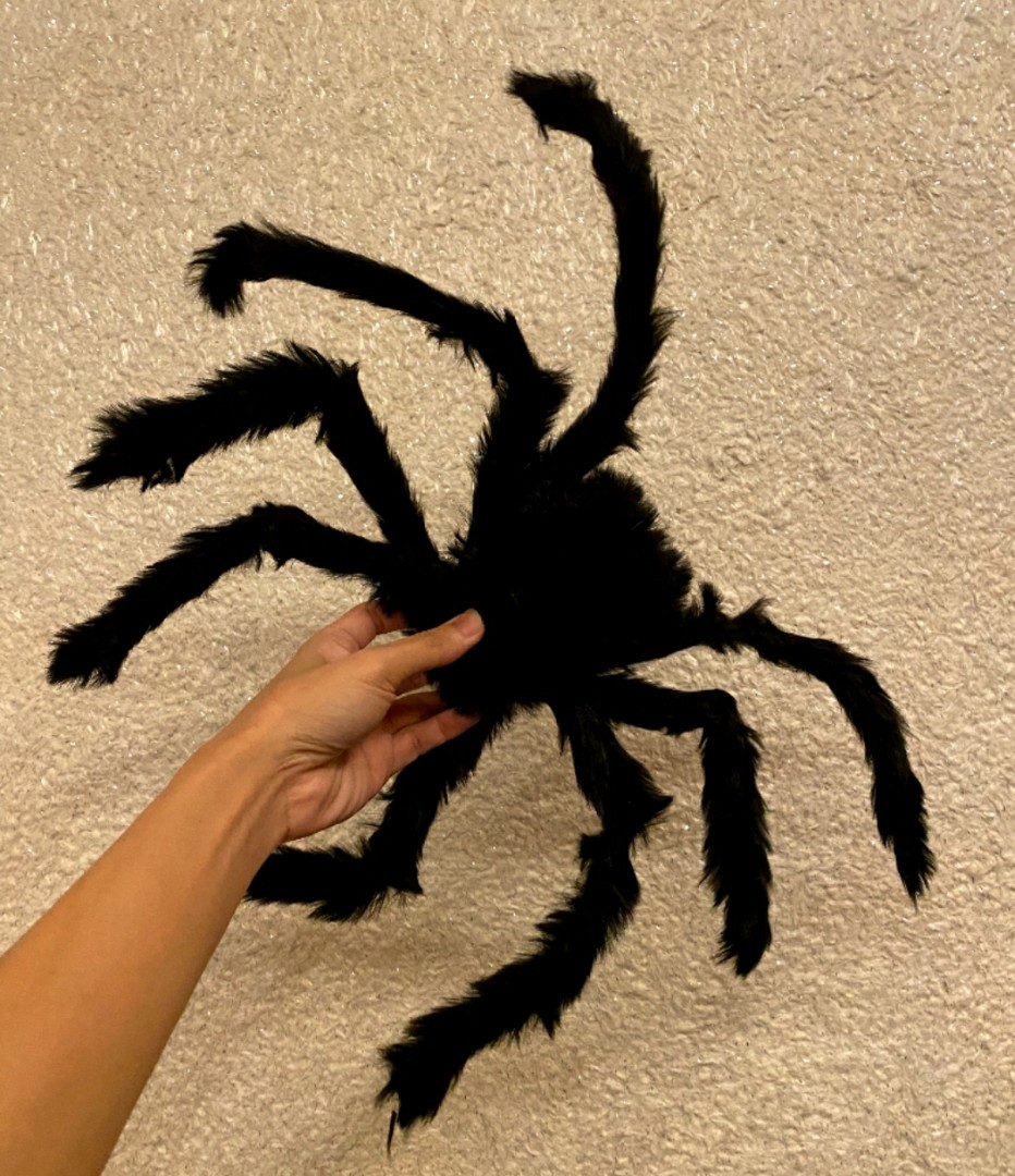 Furry spider prop bendable legs halloween scary spider, Hobbies & Toys ...