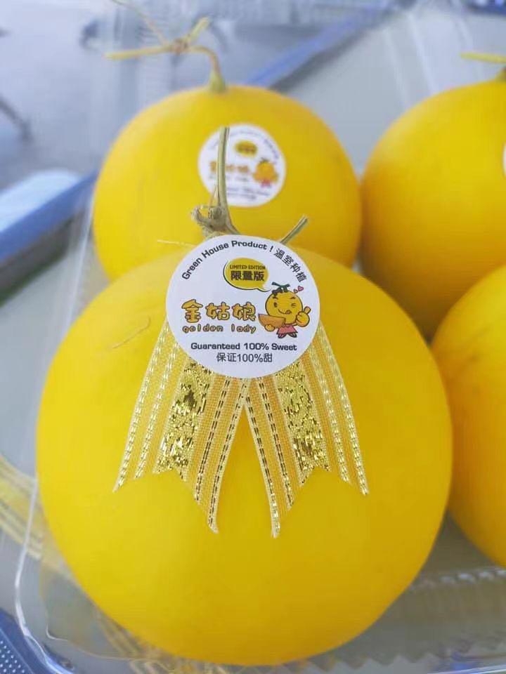 Golden Lady Melon, Food & Drinks, Other Food & Drinks on Carousell