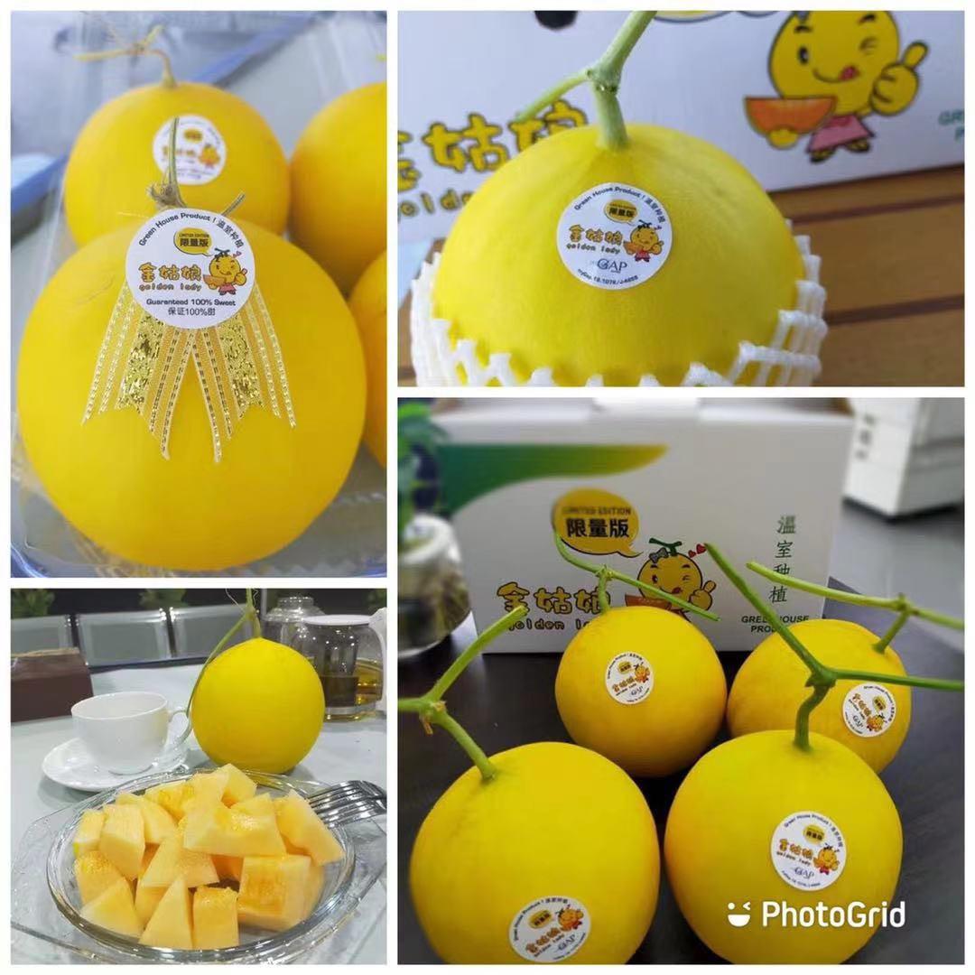 Golden Lady Melon, Food & Drinks, Other Food & Drinks on Carousell