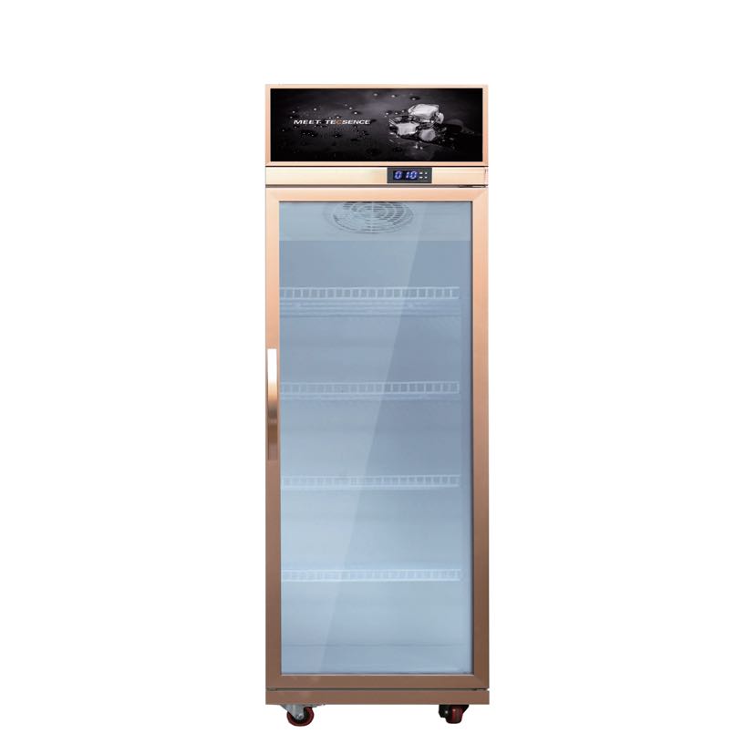 Lazer Single Glass Door Upright Chiller with canopy/Fridge/Refrigerator ...