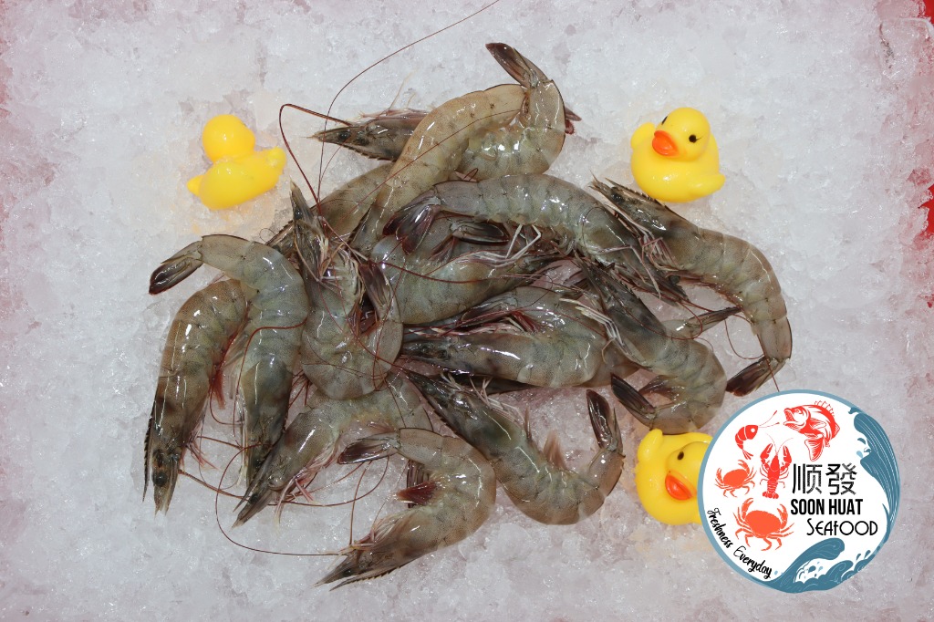 Live Prawn 1kg, Food & Drinks, Fresh Produce on Carousell