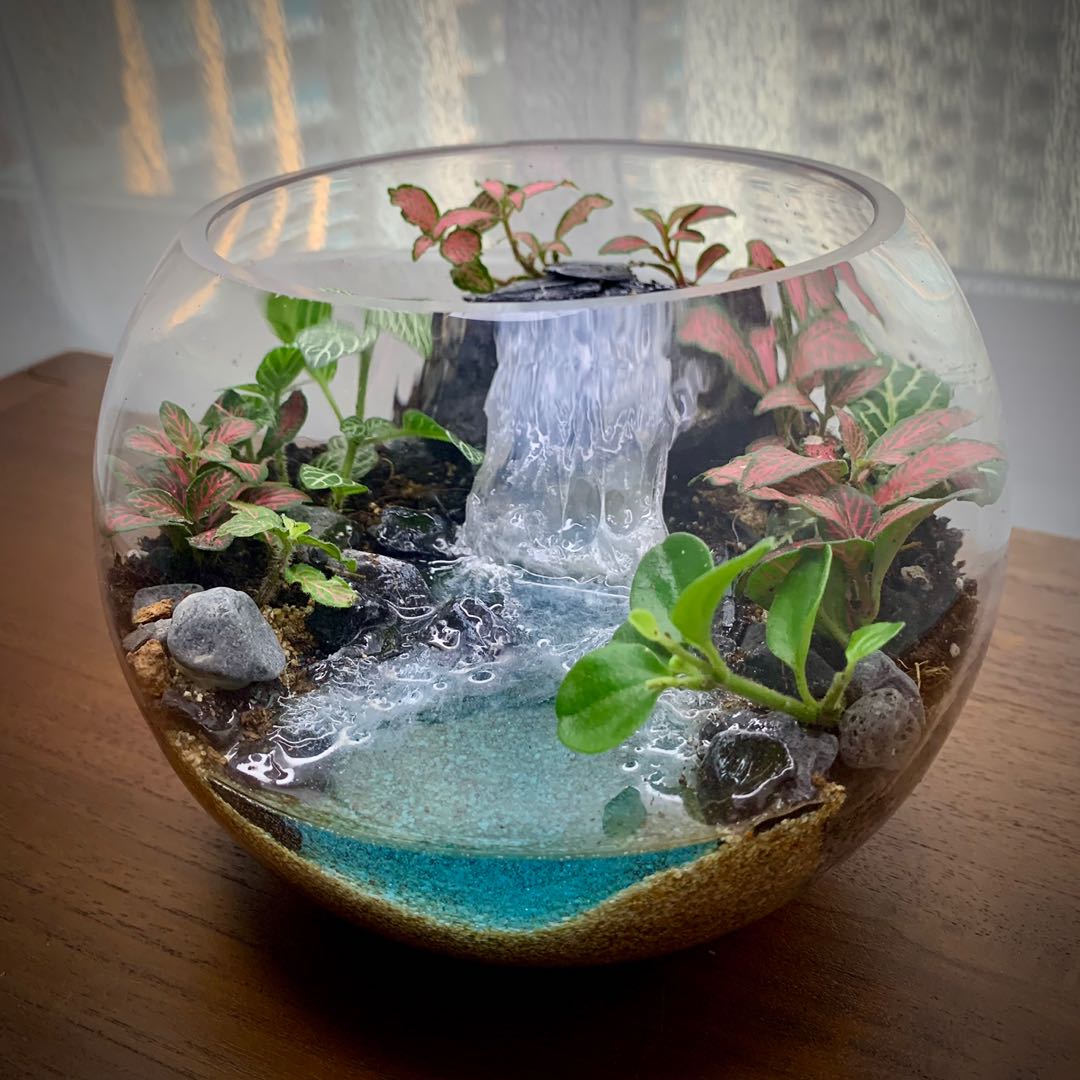 Waterfall Terrarium