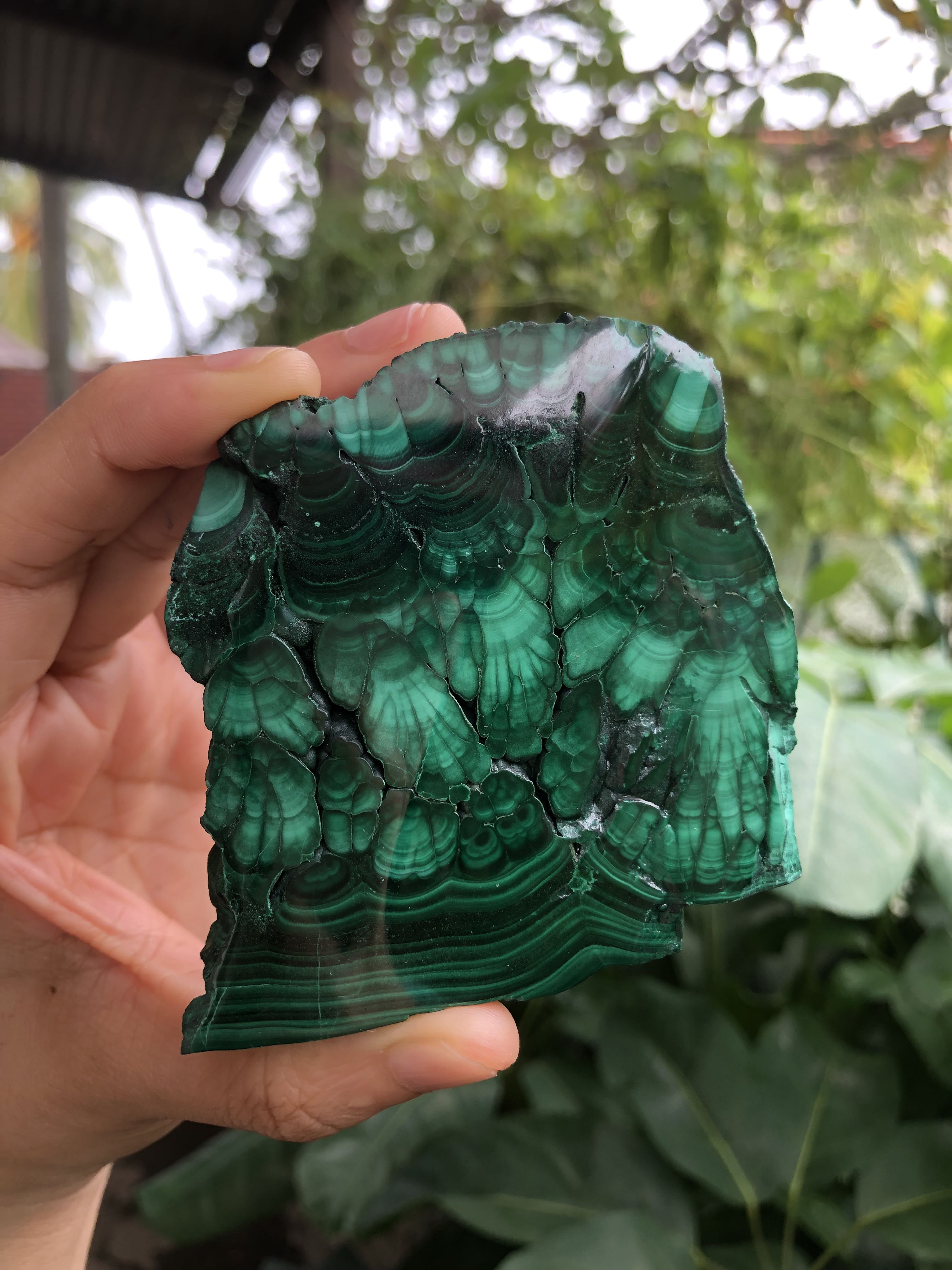 Malachite Slab with Botryoidal Growth, Hobbies & Toys, Memorabilia ...