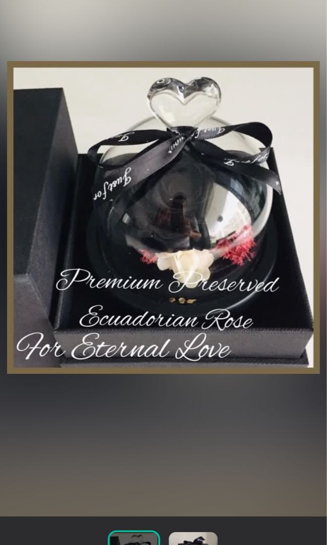 Preserved Black Rose, Hobbies & Toys, Stationery & Craft, Flowers ...