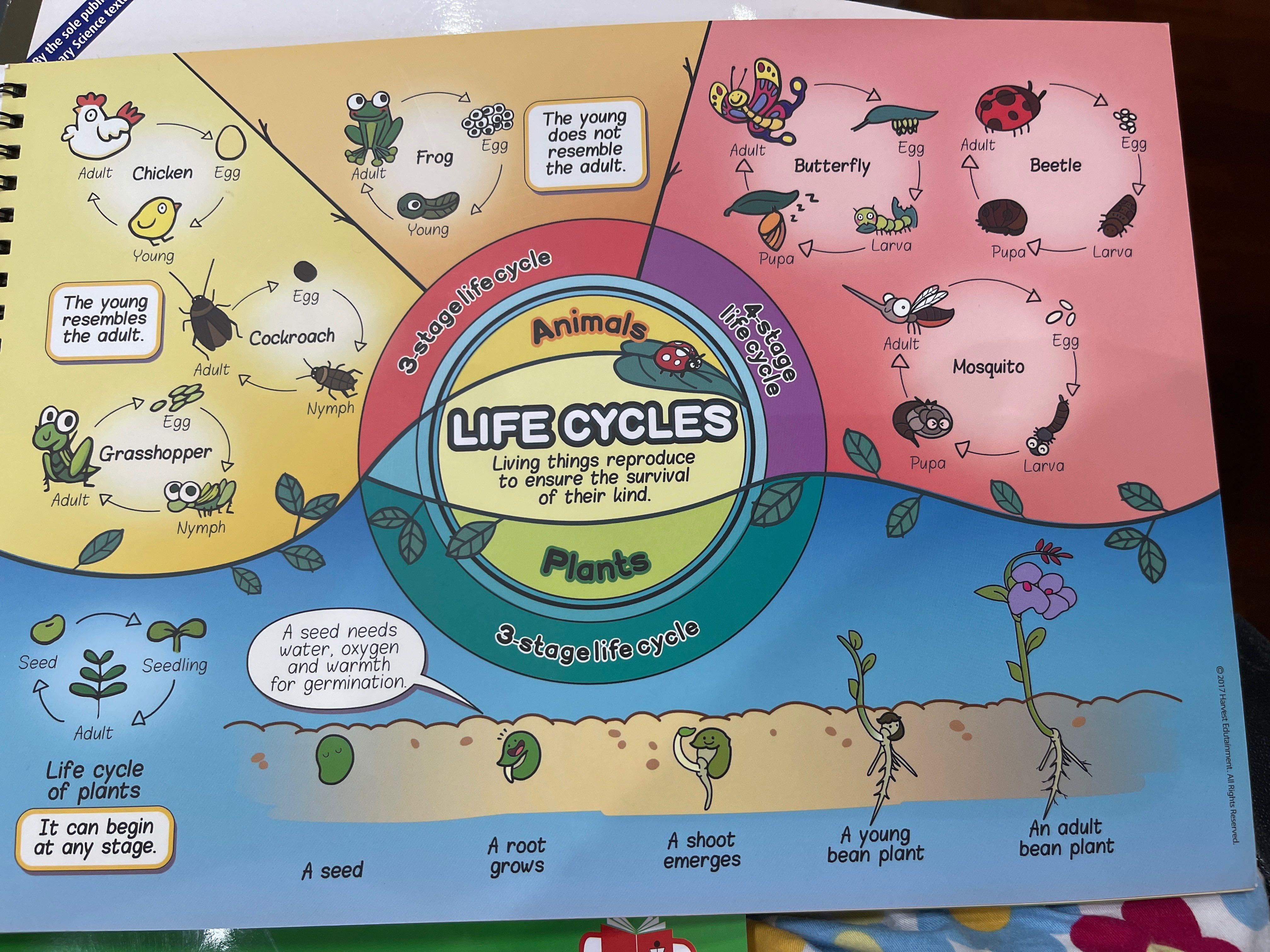pSLE science mins map, Hobbies & Toys, Books & Magazines, Assessment ...