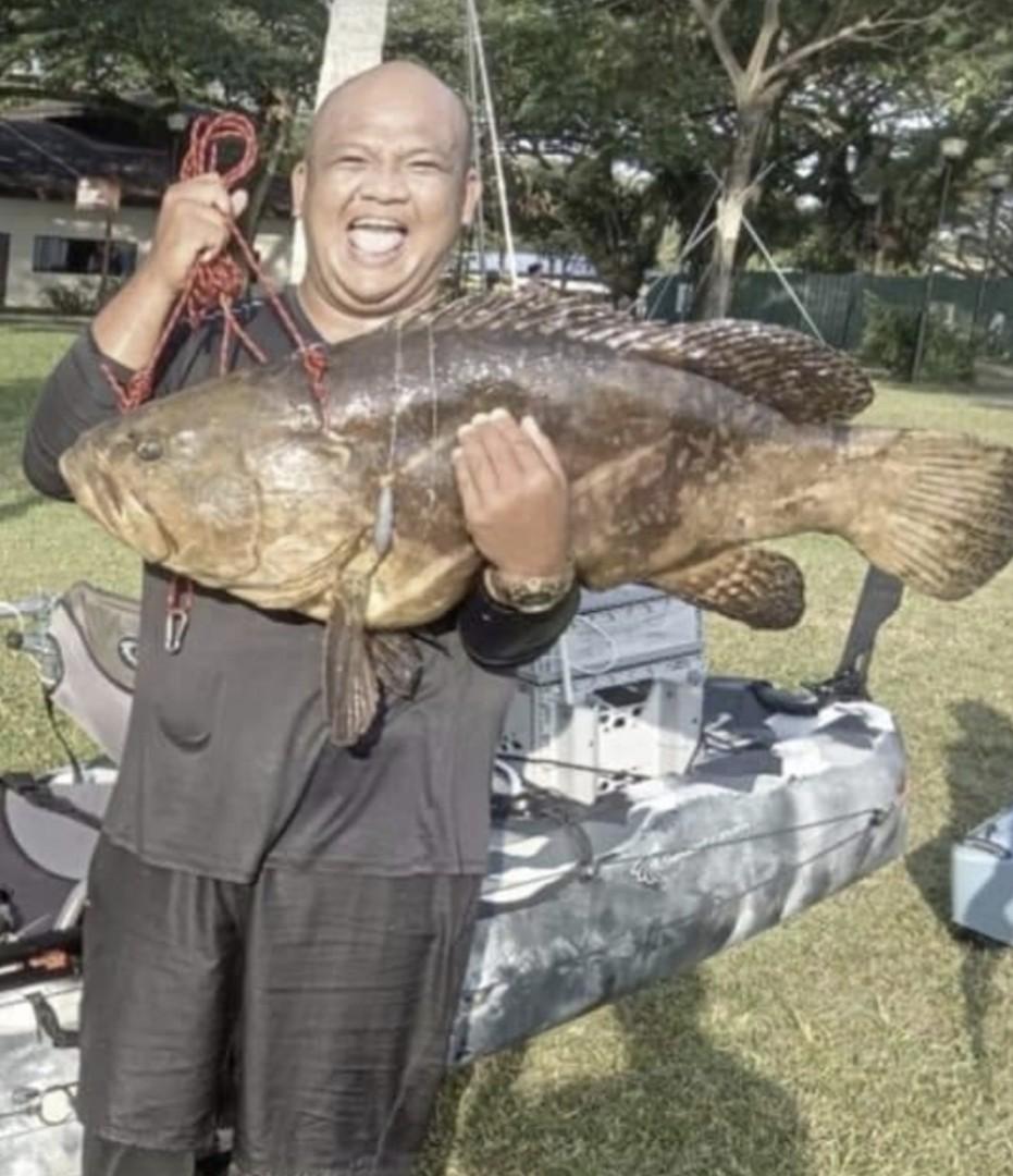 Tamban/ Chomek/Belanak/Octopus/Udang Pasir /fishing baits, Sports ...