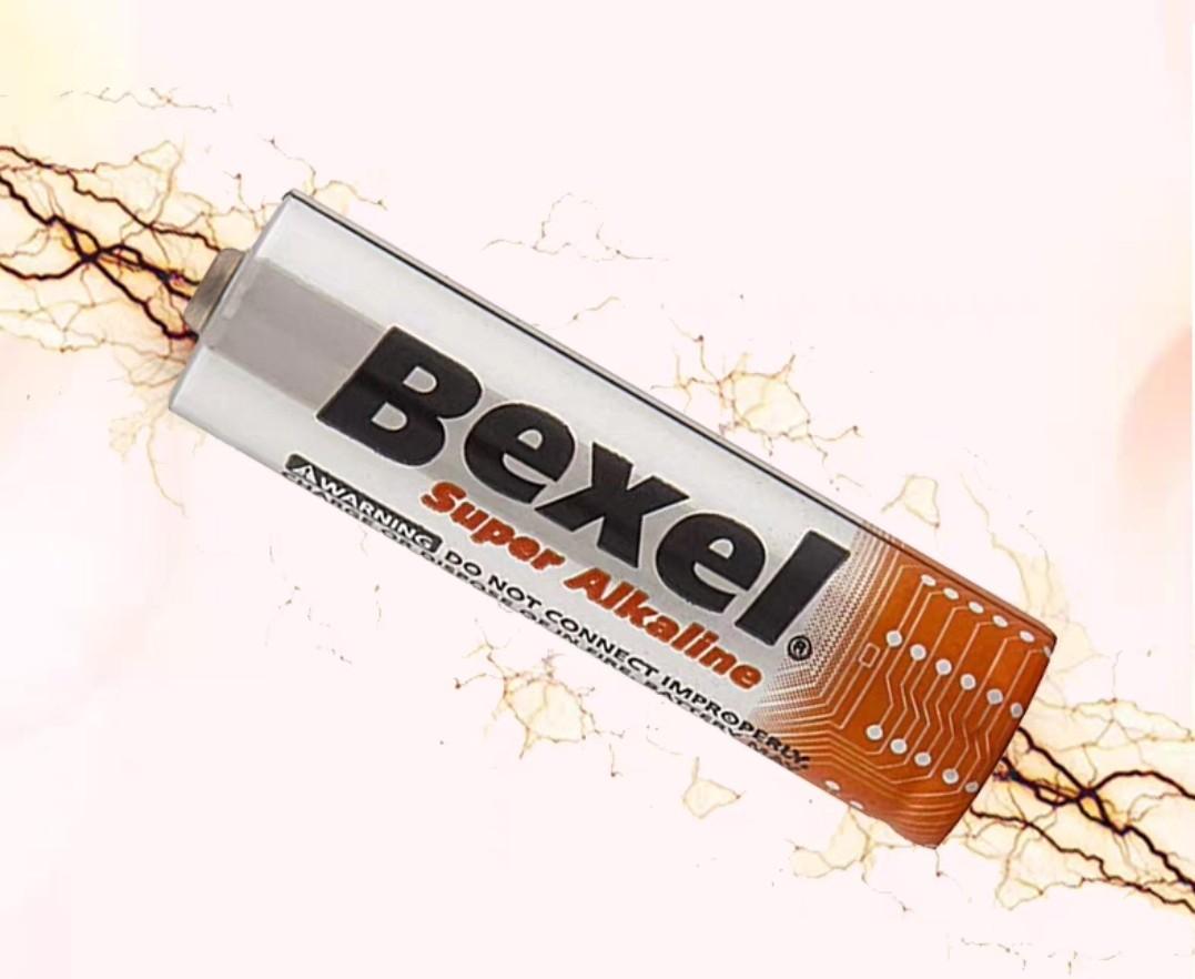 Bexel and DMEGC battery Digital lock, Furniture & Home Living, Security ...