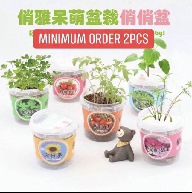 DIY Mini Kids Plant Kit, Furniture & Home Living, Gardening, Pots ...