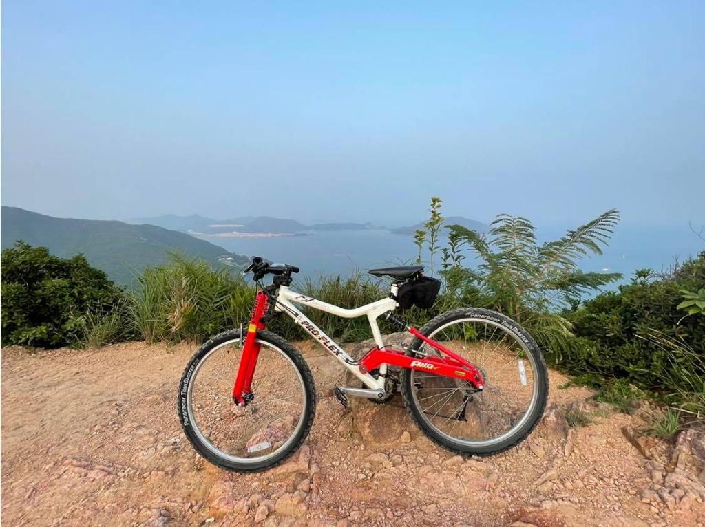 Pro Flex 757 Vintage Enduro MTB, 運動產品, 單車及配件, 單車 - Carousell