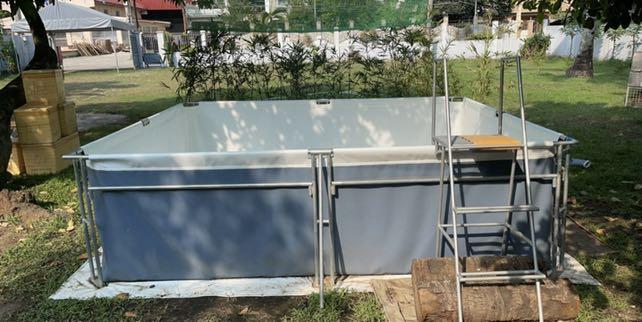 Swimming pool 8x12 x 3 feet with Ladder, Furniture & Home Living ...