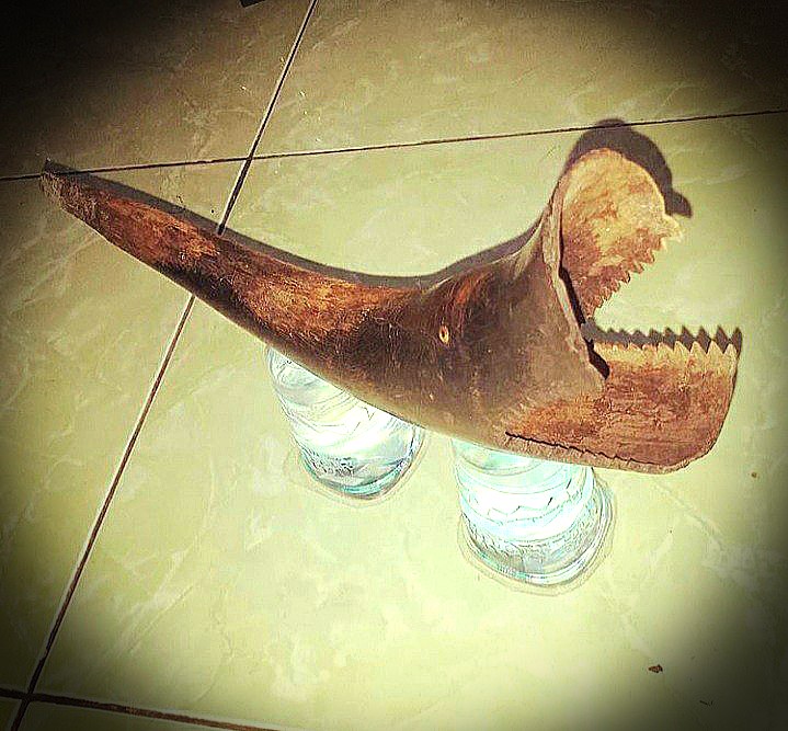 Hiasan tanduk asli mulut ikan, Antik, Pajangan di Carousell