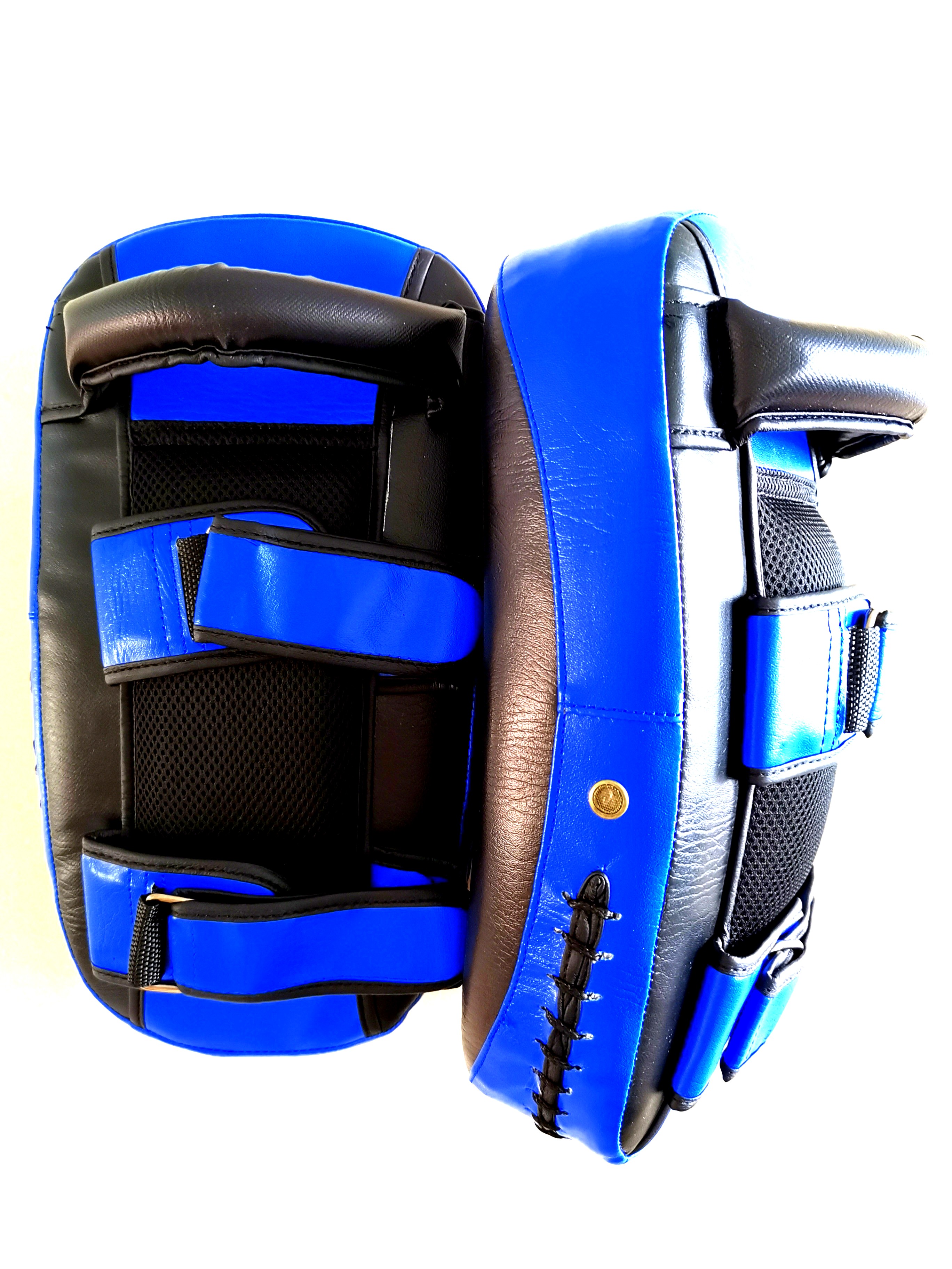 MMA / Muay Thai / Kickboxing / Boxing / UFC Punch Punching Kick Kicking ...