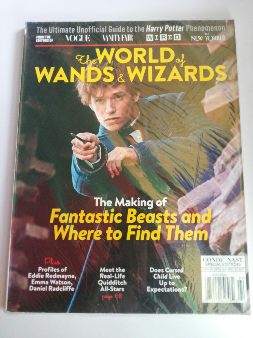 The World of Wands & Wizards: The Making of Fantastic Beasts and Where ...