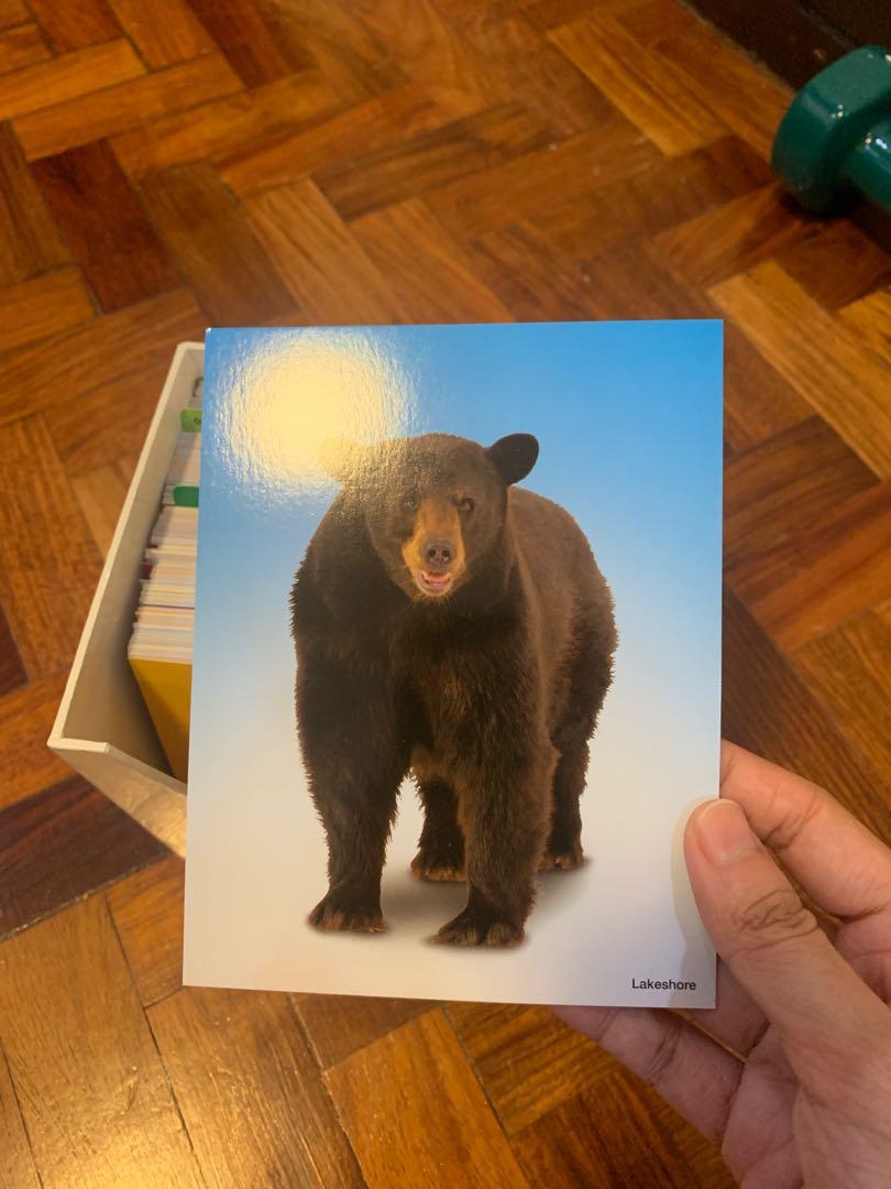 Lakeshore Building Language Photo Library, Announcements on Carousell