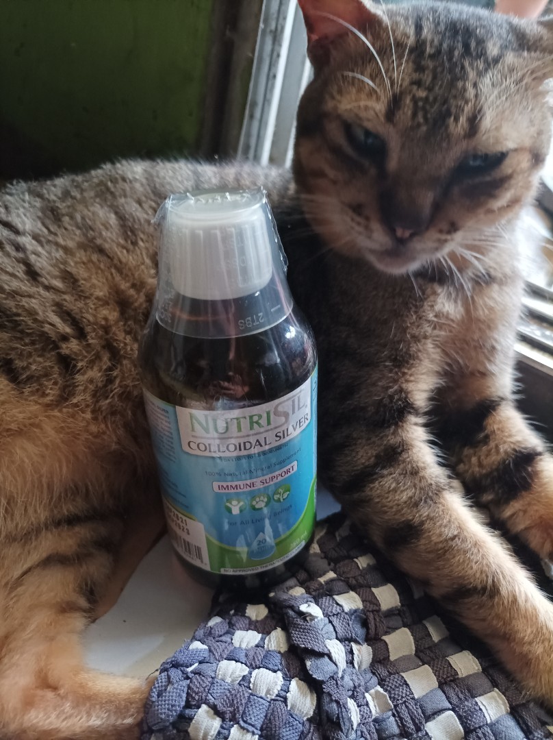 Nutrisil Colloidal Silver, Health & Nutrition, Health Supplements ...