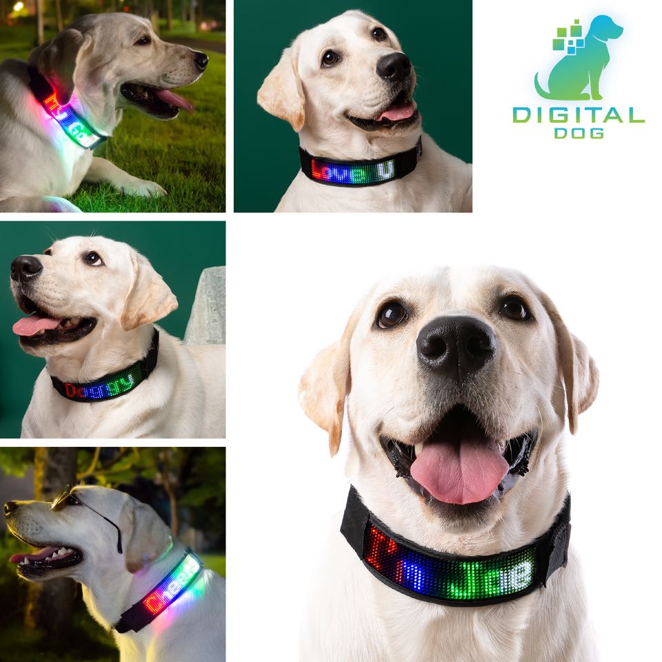 PETLUV "DIGITAL DOG" PROGRAMMABLE SCROLLING LED DOG COLLAR ILLUMINATED ...