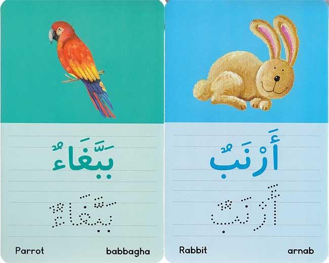Arabic Alphabet / Words Activity Flash Cards (Wipe Clean), Hobbies ...