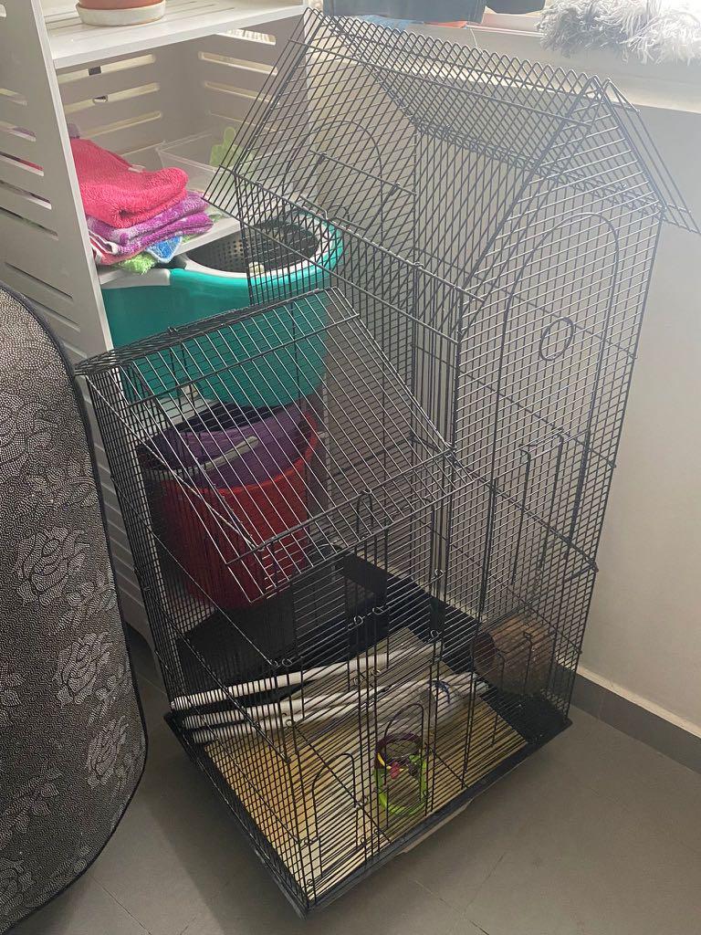 Big Bird Cage, Pet Supplies, Homes & Other Pet Accessories on Carousell