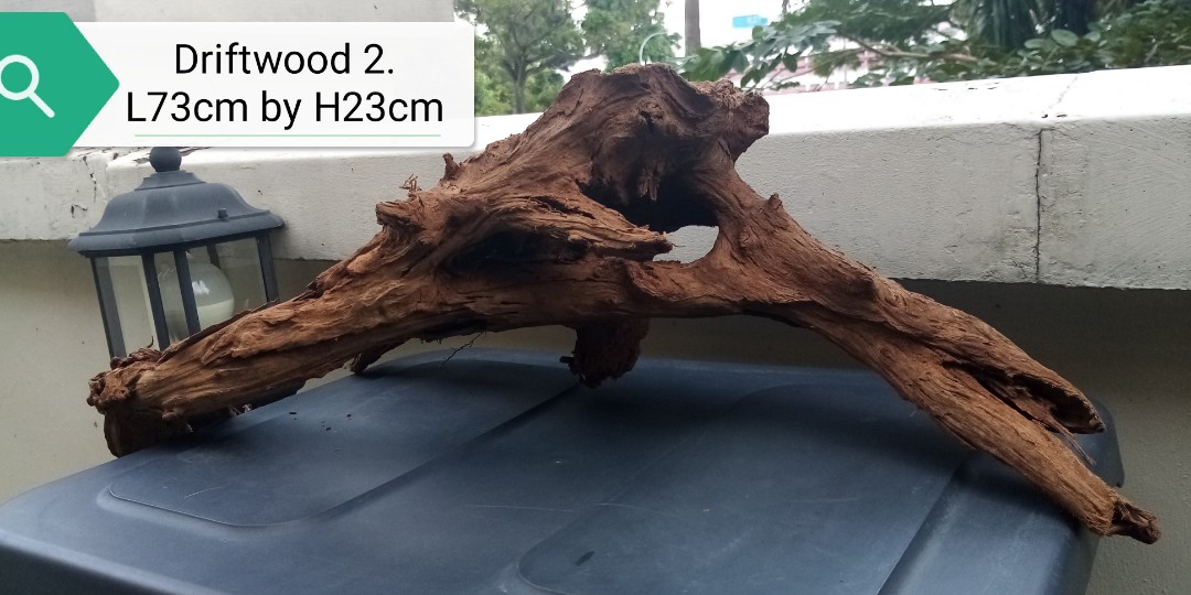 Extra Large unique shape driftwood, Pet Supplies, Homes & Other Pet ...