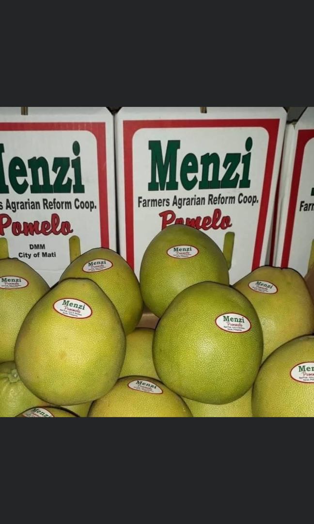 Menzi Pomelo, Food & Drinks, Fresh Produce on Carousell