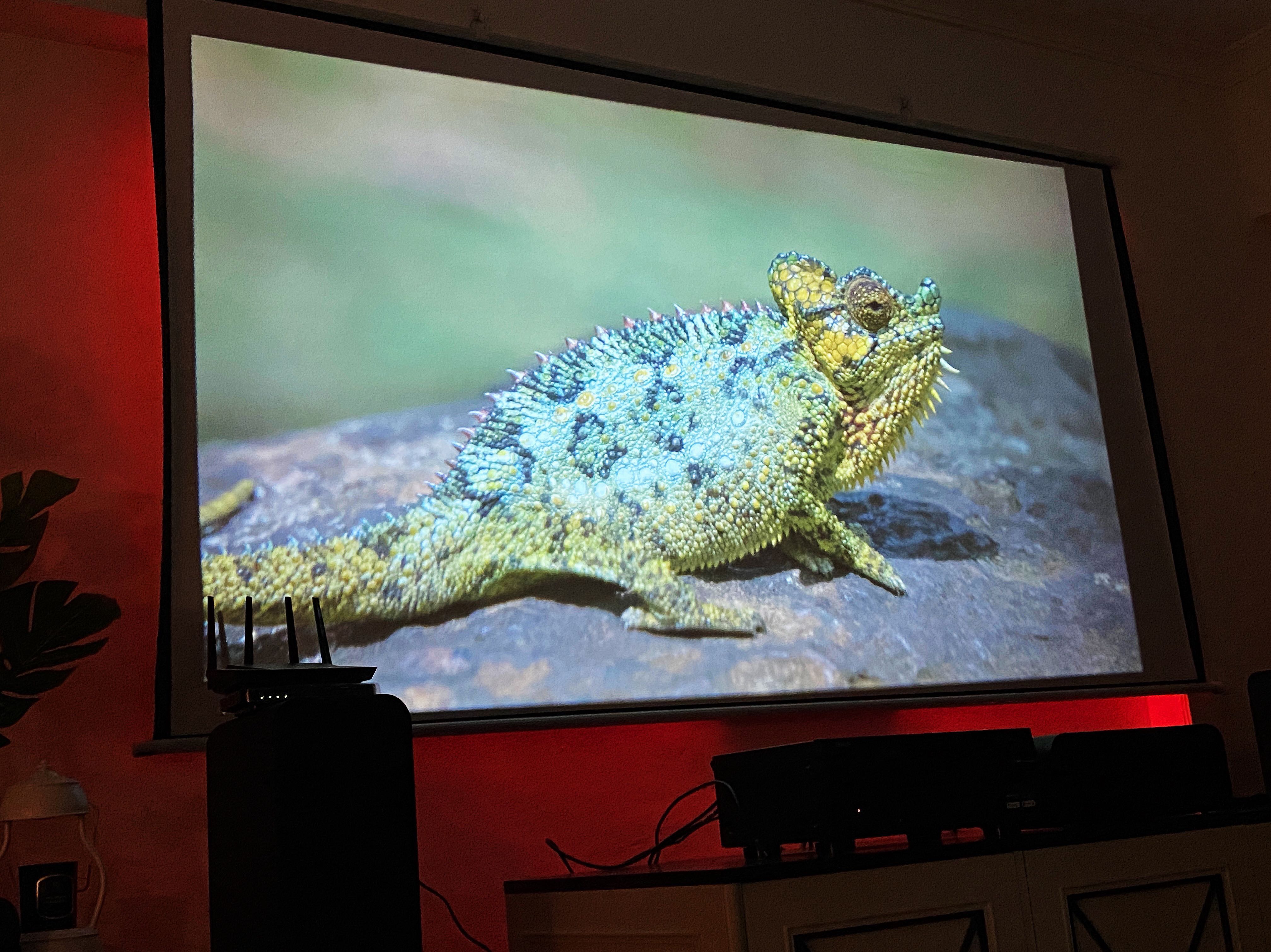 Optron Ultra Projector 4K HD (Retail $399), TV & Home Appliances, TV ...