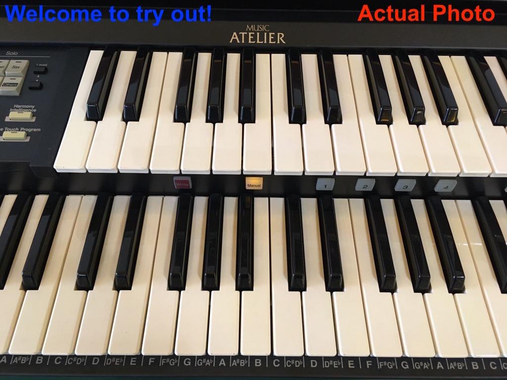 ROLAND Atelier Organ AT-15 (Showpiece set) AT15, Hobbies & Toys, Music ...