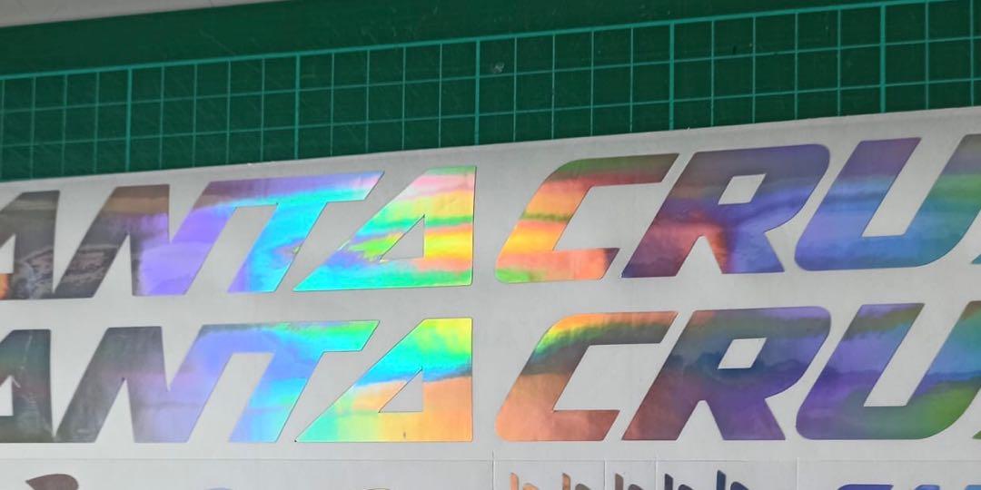 Santa Cruz Decals (Hologram) color, Sports Equipment, Bicycles & Parts ...