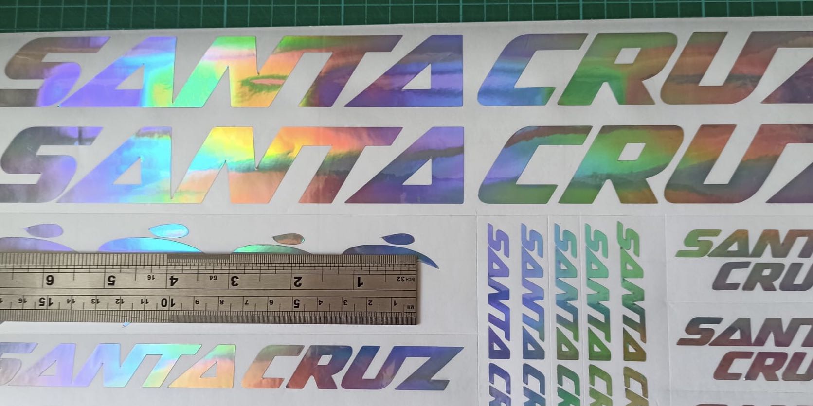 Santa Cruz Decals (Hologram) color, Sports Equipment, Bicycles & Parts ...