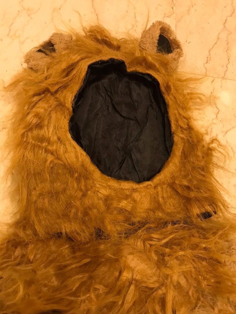 Singapore singa Costume, Babies & Kids, Babies & Kids Fashion on Carousell