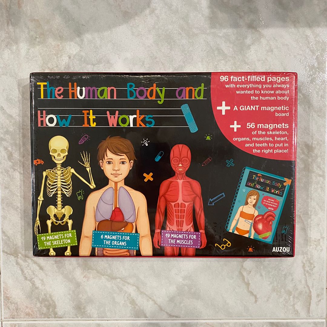 [Box Set] The Human Body and How it Works : A Fun Way to Learn About ...