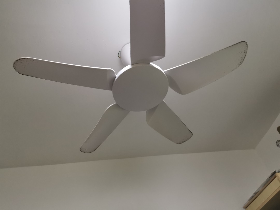CEILING FAN ALPHA COSA EXPRESS-5B MATTE WHITE 40" DIAMETER, Furniture ...