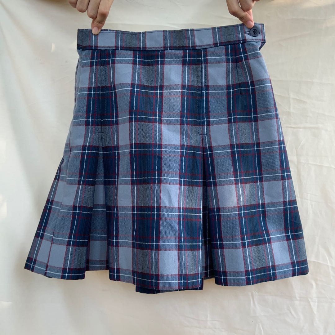 Blue Plaid Skirt, Women's Fashion, Bottoms, Skirts on Carousell