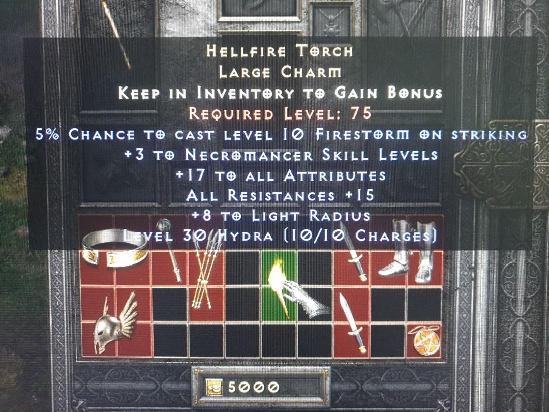 Diablo 2 D2r Hellfire Torch Necromancer, Video Gaming, Gaming ...