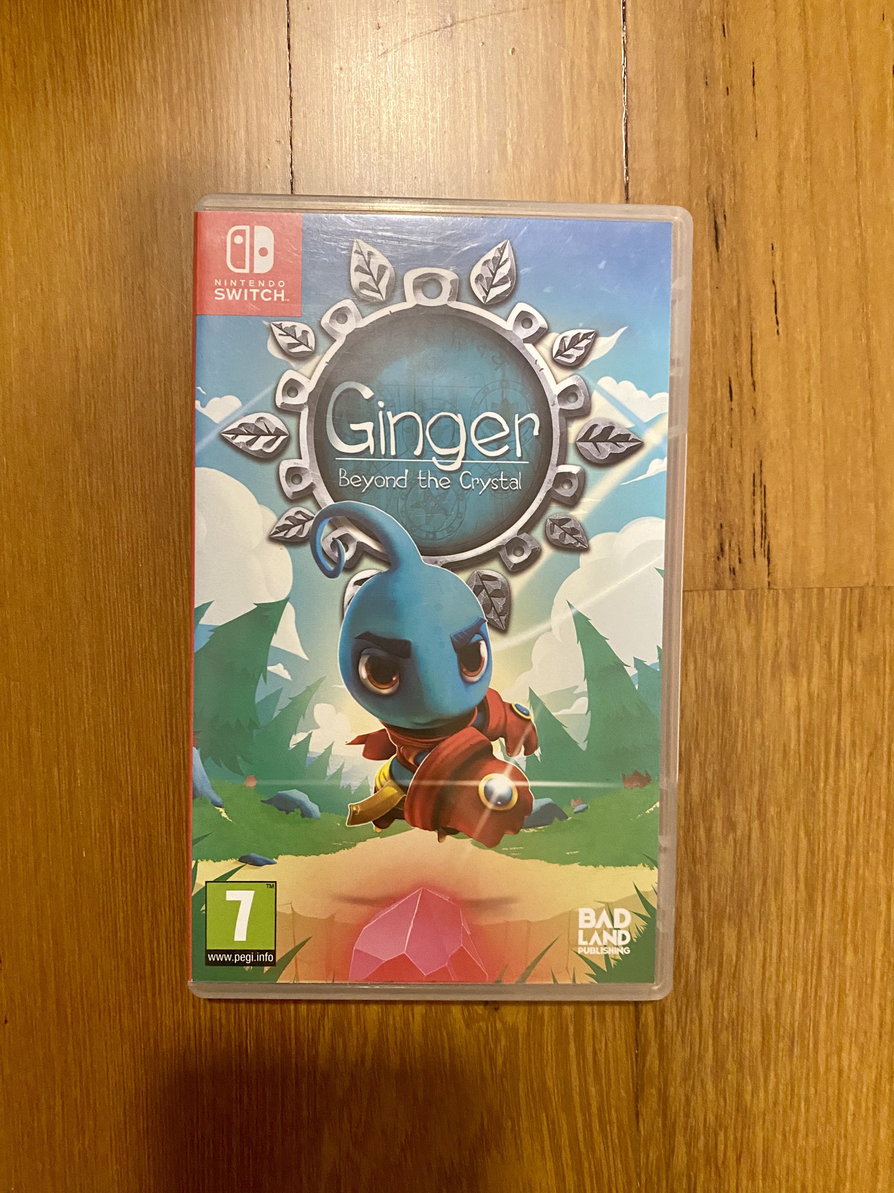 Ginger Nintendo Switch, Video Gaming, Video Games, Nintendo on Carousell