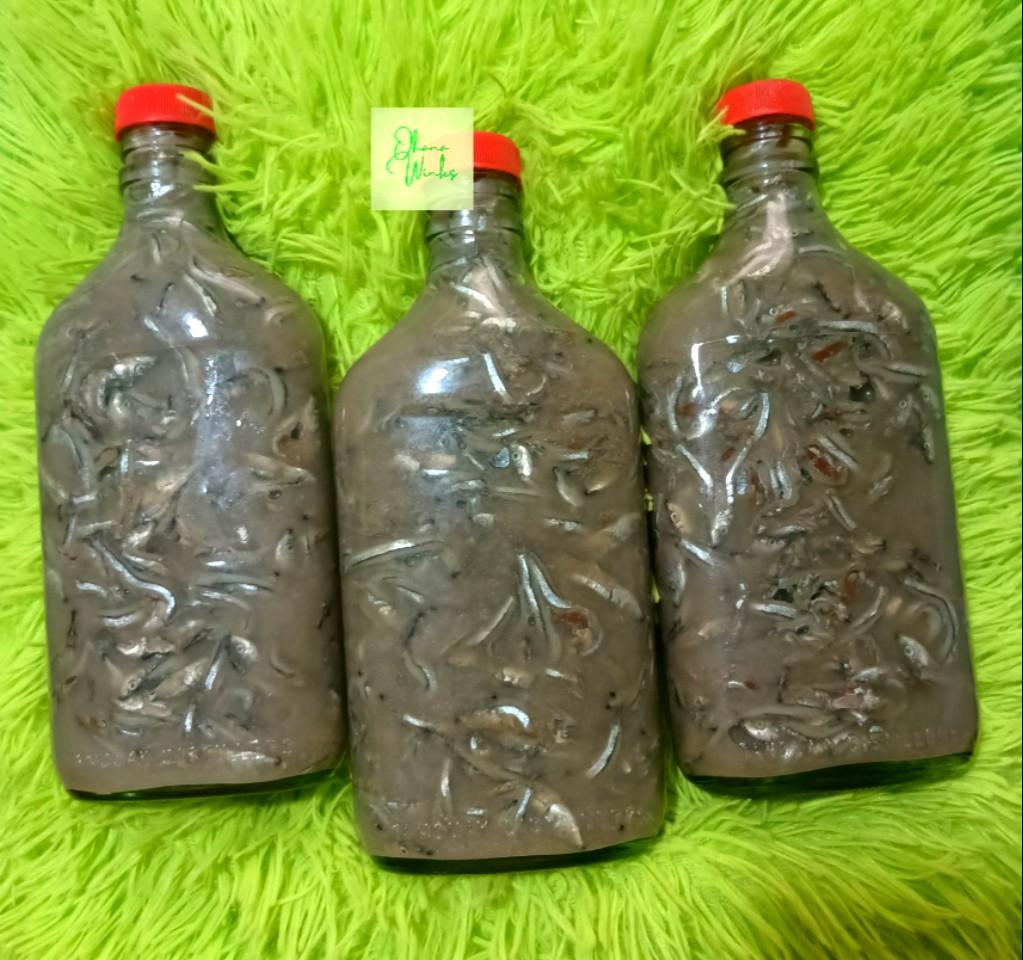 Masbate Ginamos Bagoong Masbate in 3 Sizes, Food & Drinks, Packaged ...