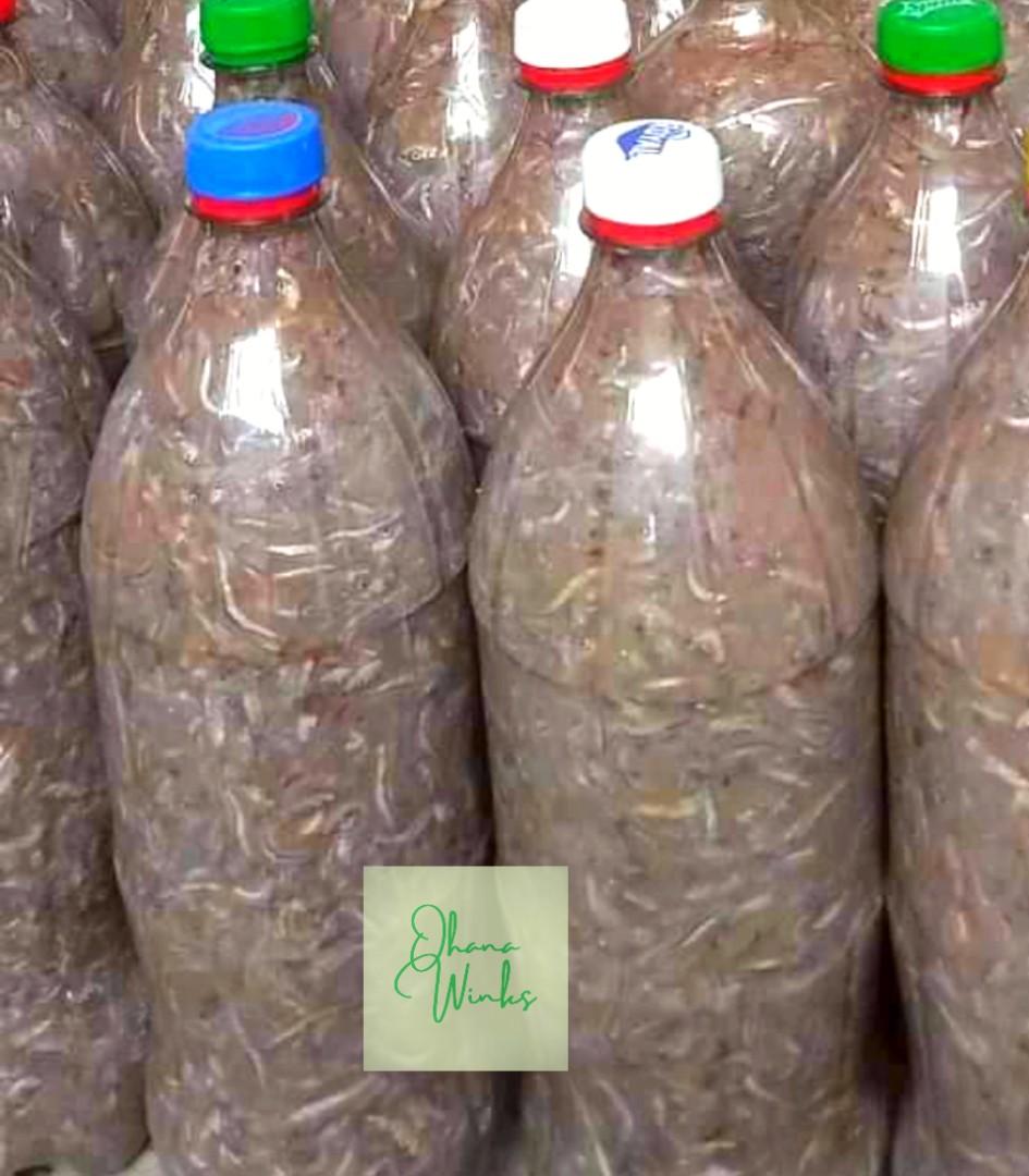 Masbate Ginamos Bagoong Masbate in 3 Sizes, Food & Drinks, Packaged ...