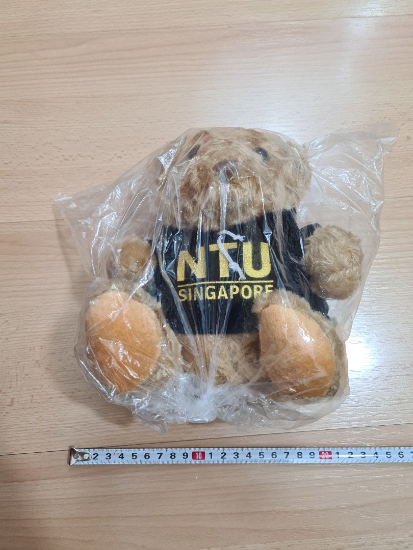 Ntu graduation bear, Everything Else on Carousell