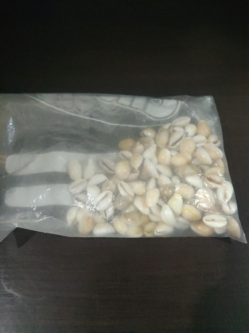 Sungka game with shells for kids and adults, Hobbies & Toys, Toys ...