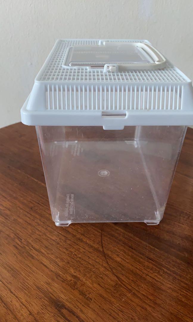 Tank for pets, fish, terrapin, turtle, beetle, ants, Pet Supplies ...